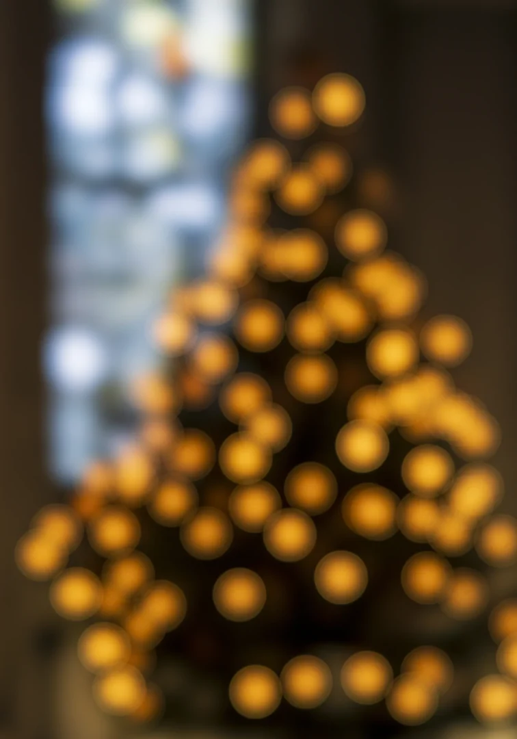 What is Bokeh in Photography?